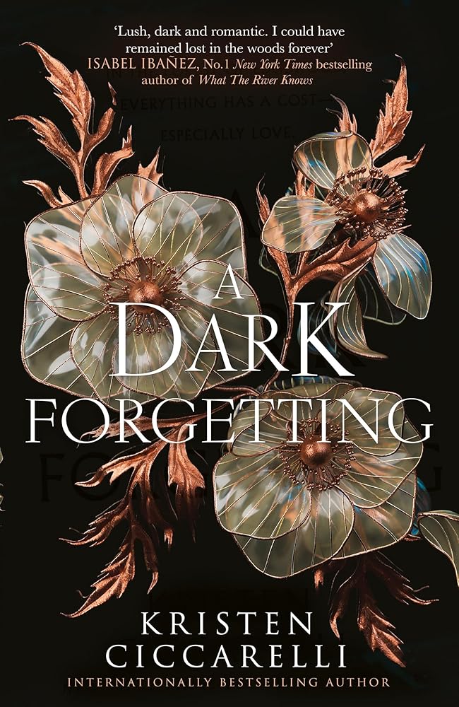 A Dark Forgetting – The Little Lost Bookshop