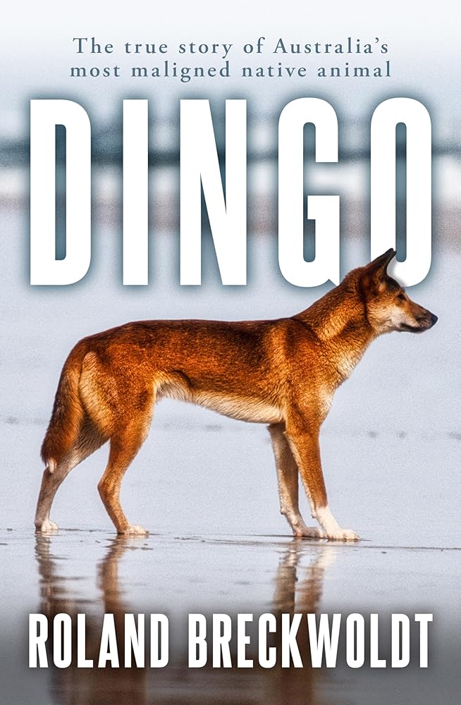 Dingo: The true story of Australia's most maligned native animal – The Little Lost Bookshop